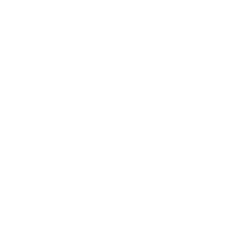 Prosoft IT - Software Development for the Future